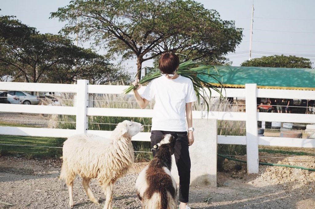 Faces | A Day Spent at Chok Chai Farm,Thailand - Roots and Leisure