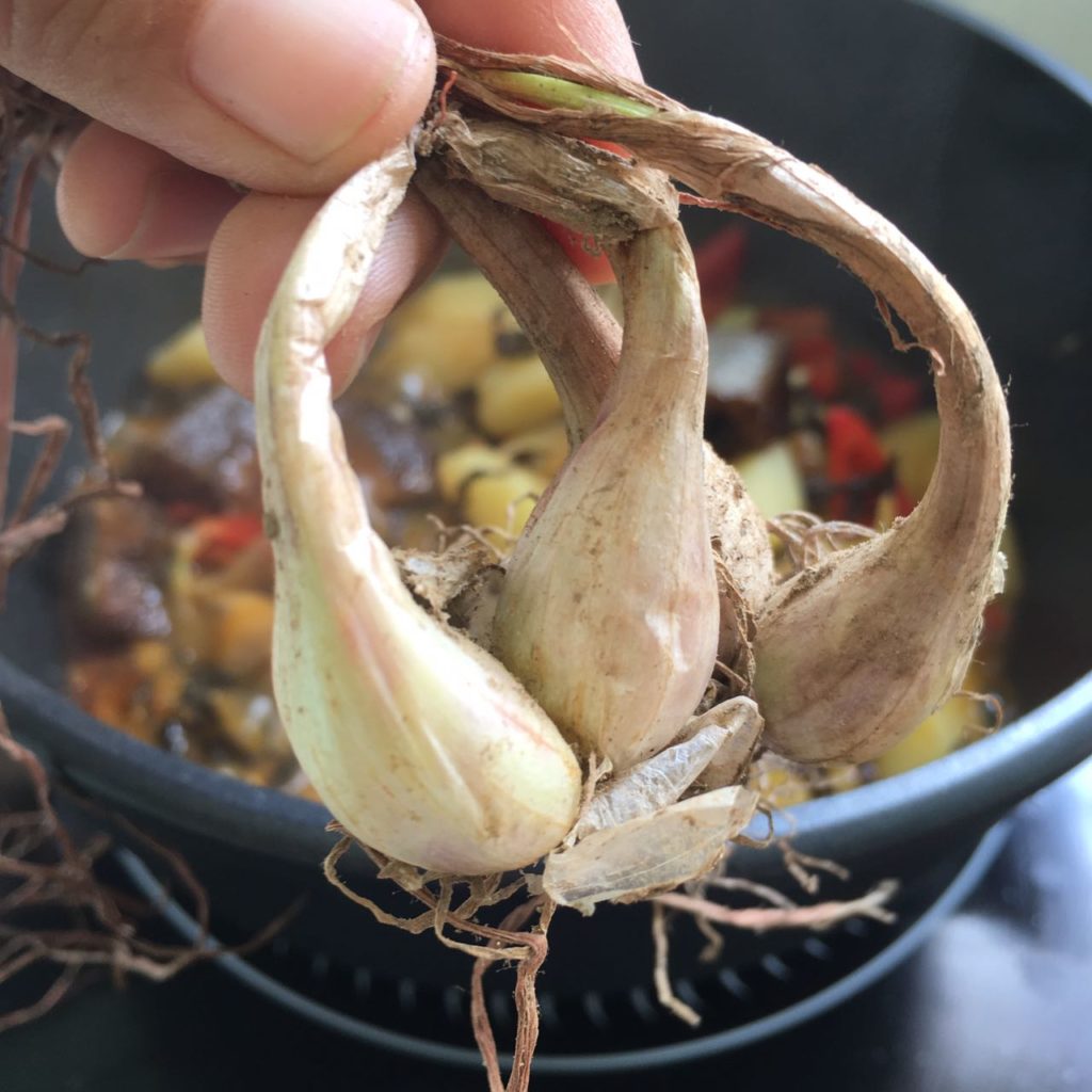 Recipe | Smoked Pork with Dried Fern - Roots and Leisure