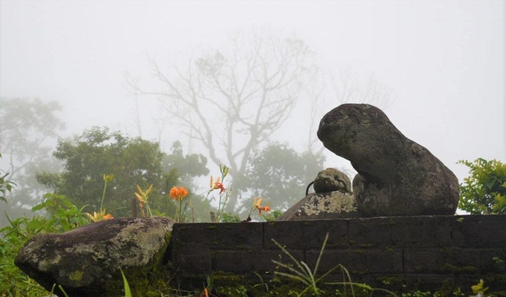 Land of Mystical Tales, History and Folklore | Longsa Village, Nagaland ...