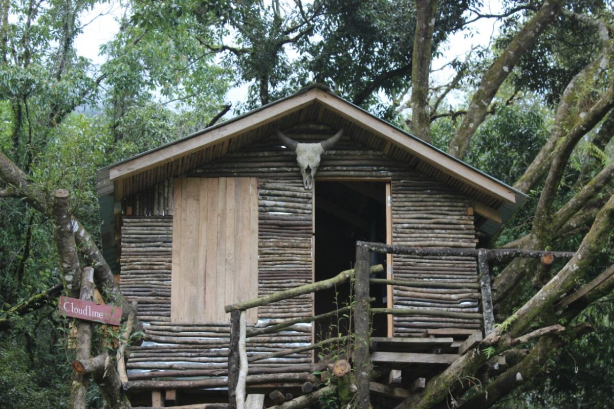 This Treehouse In Nagaland Is An Ideal Way To Escape Onto The Scenic ...