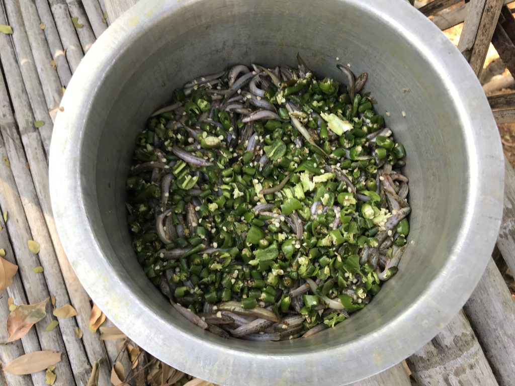 Naga Recipe | River Fish with Bastenga (Bamboo Shoot Juice) - Roots and ...