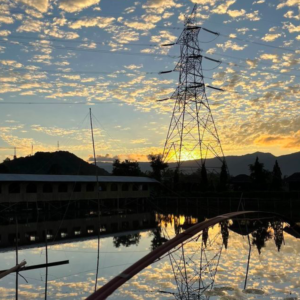 #RECIPE | Mizoram's Favourite Dish 'Bai' - Made With The Stalks Of ...